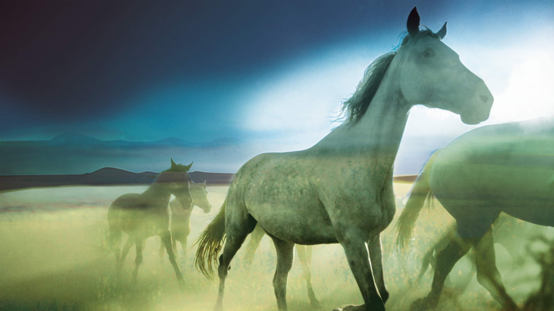 Treasures from the Ukrainian Steppes - POINTE-À-CALLIÈRE