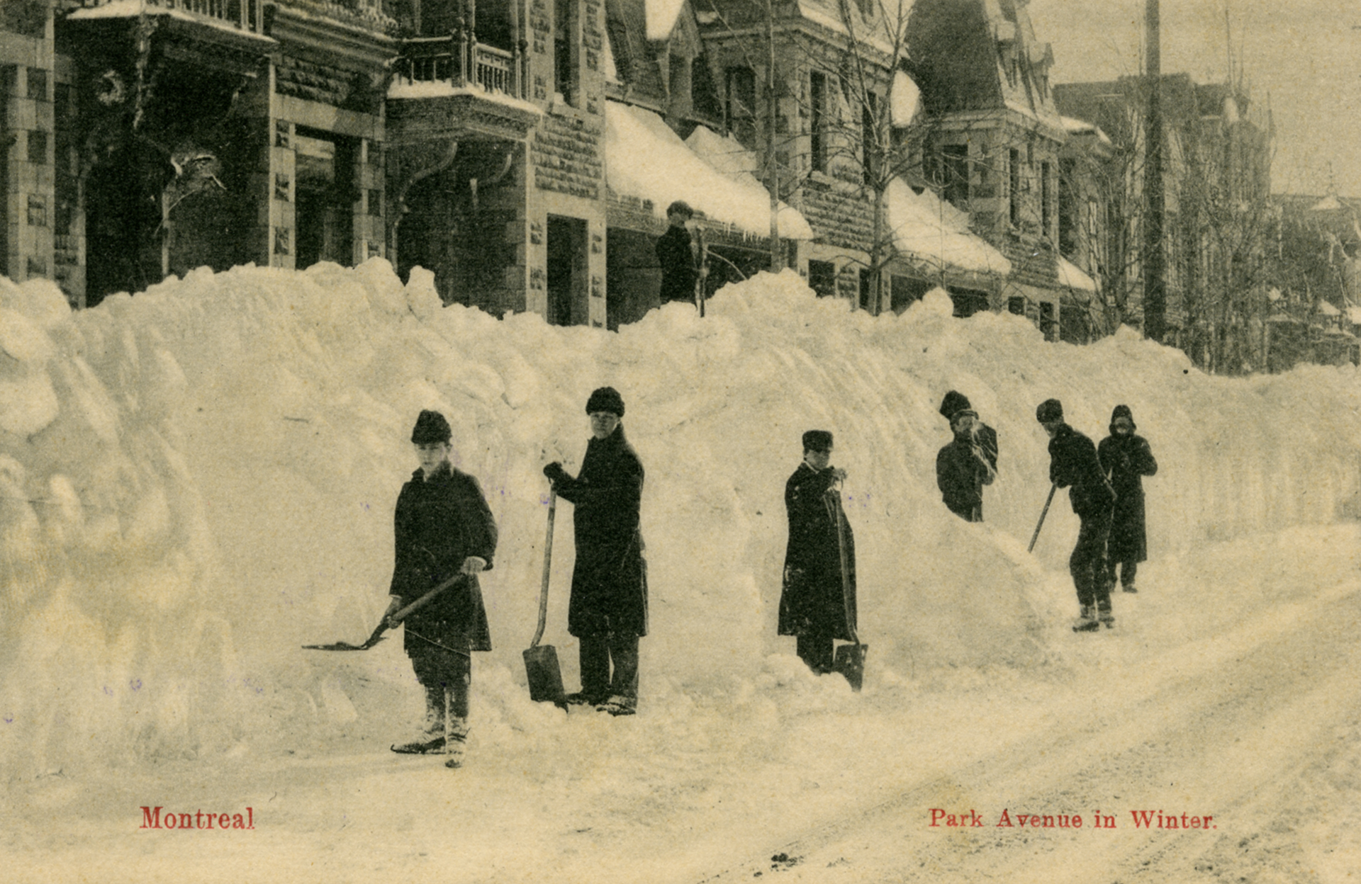 Snow - POINTE-À-CALLIÈRE